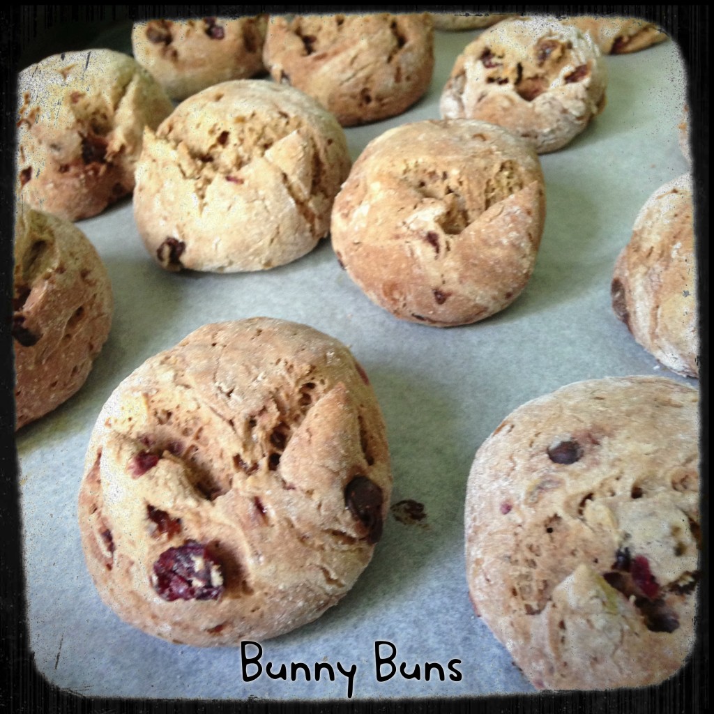 CHOCOLATE AND FRUIT BUNS